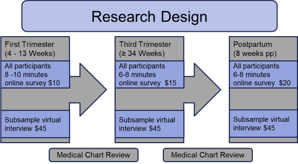 Perinatal Healthcare Expectations, Experiences and Discrimination (PHEED) Study | Renaissance ...